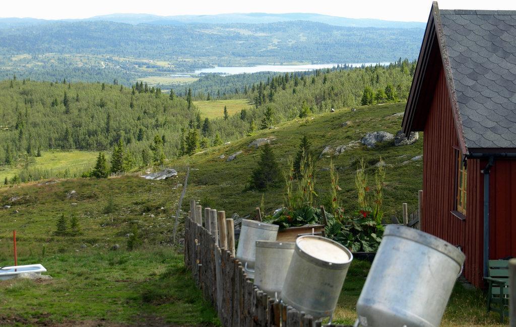 Eldrefondet i Ringebu kommune